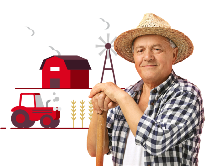 Insurance | Car & Business insurance | King Price Insurance